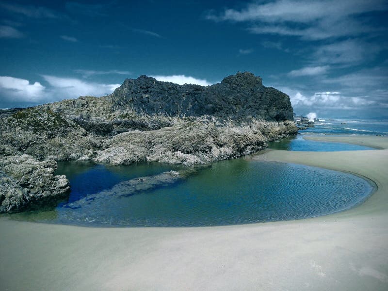 Tide Pools at Reflections at Seal Rock Stock Photo - Image of oregon ...