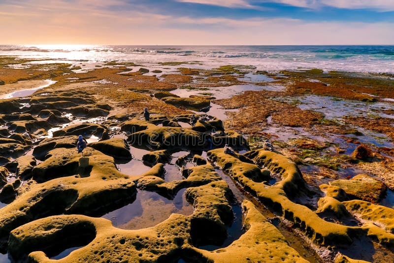 Tide Pools stock image. Image of beach, shores, california - 47182779