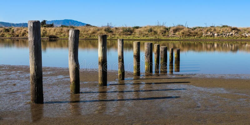 Tide Post stock image. Image of stillness, tide, zealand - 28633025