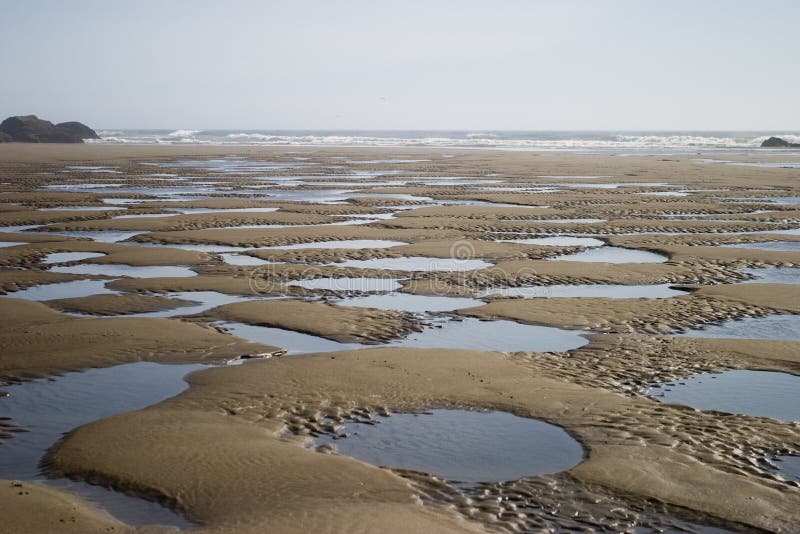 Tidepools auf dem Strand stockfoto. Bild von küste, strand - 24126188