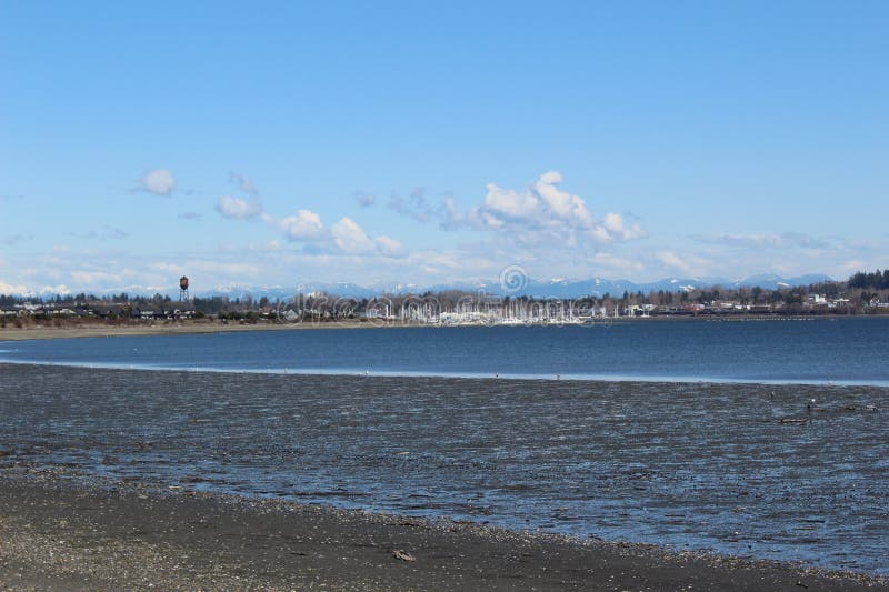Tides Out Drayton Harbor on an Afternoon Stock Photo - Image of early ...