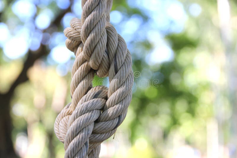 Tie a Large Rope in an Orderly Way To Hold Things Firmly Stock Image ...