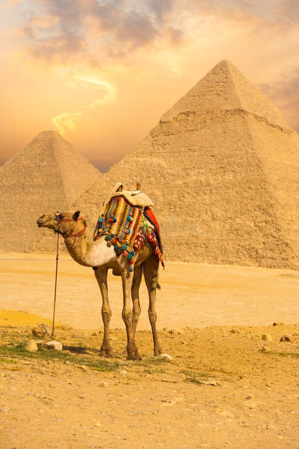 Pyramids Egypt V Giza Stock Photos - Free & Royalty-Free Stock Photos ...
