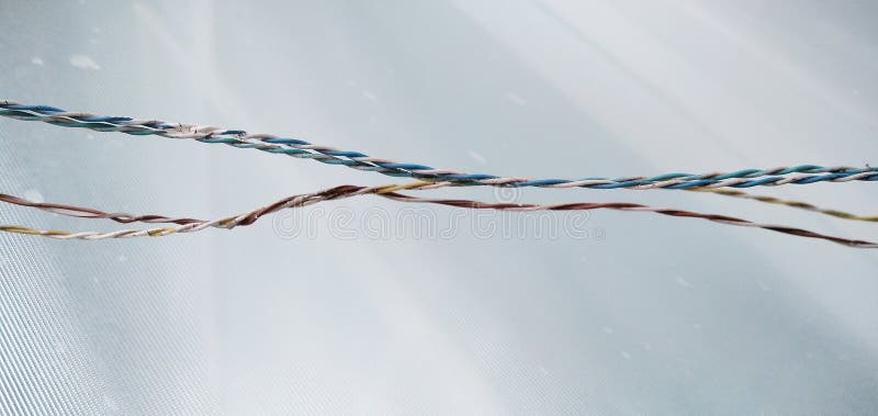 Tied Long Coiled Wire Cable Stock Photo - Image of twig, iron: 204373646