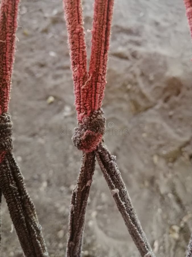 The Tied Rope Knot is Hard To Solve Stock Image - Image of hard, solve ...