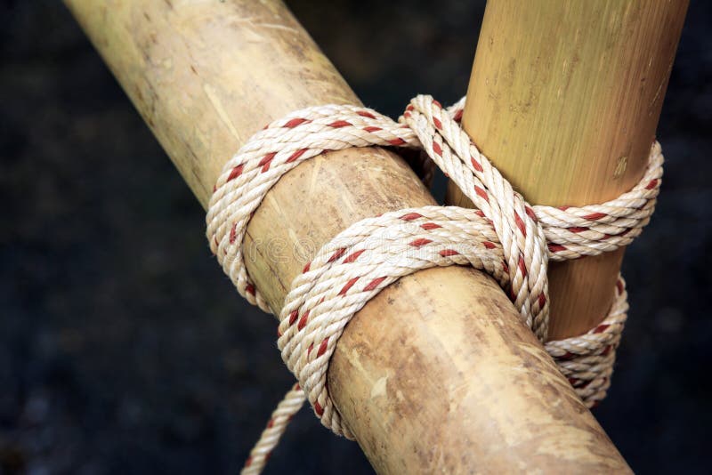Tied Together with a Square Lashing by Scouts Stock Photo - Image of ...