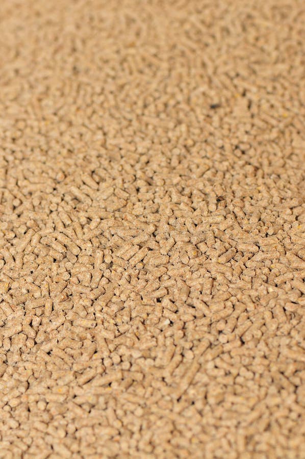 Tierfutter stockbild. Bild von zusammengesetzt, huhn, schweine - 5117433