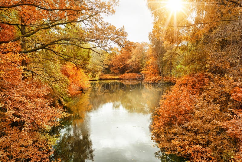 The Tiergarten in Berlin, Germany Stock Photo - Image of forest, park ...