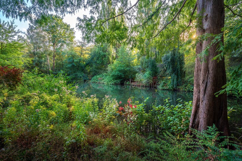 Tiergarten Park - Berlin, Germany Stock Photo - Image of landscape ...