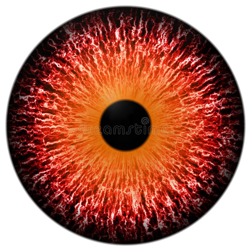 Rotes Auge Bild. Bild: 4269725