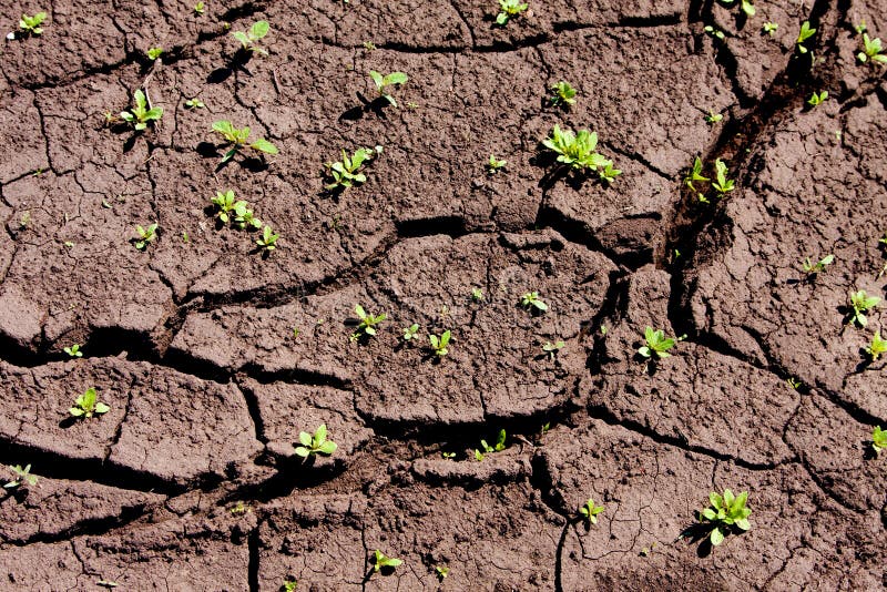 Tierra árida imagen de archivo. Imagen de tierra, extracto - 19963697