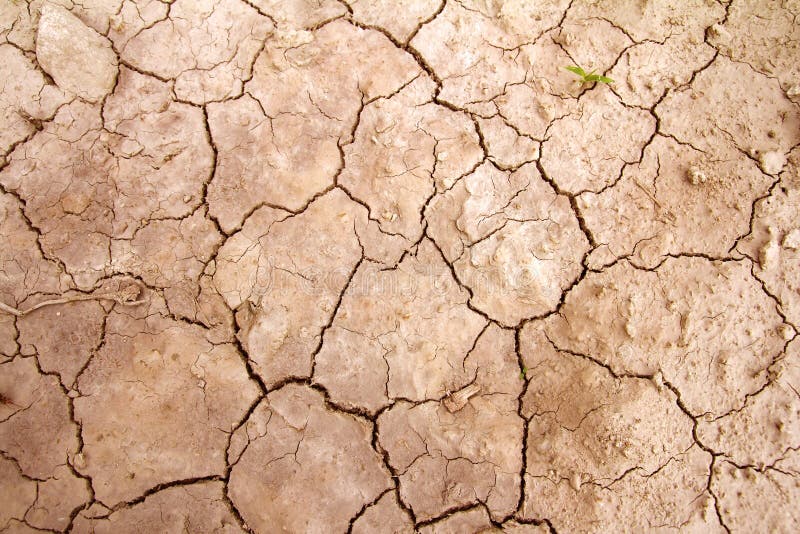 Tierra árida imagen de archivo. Imagen de roto, desastre - 39055941