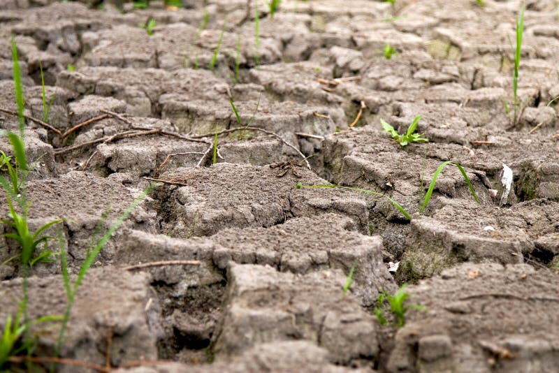 Tierra agrietada foto de archivo. Imagen de cubo, agua - 2654584