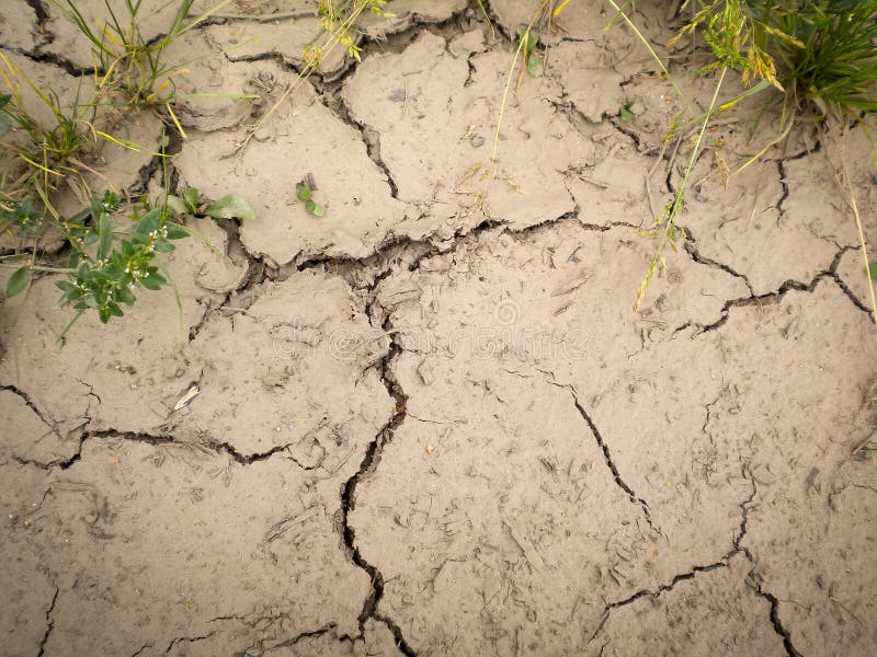 Tierra agrietada imagen de archivo. Imagen de gris, tierra - 38560003