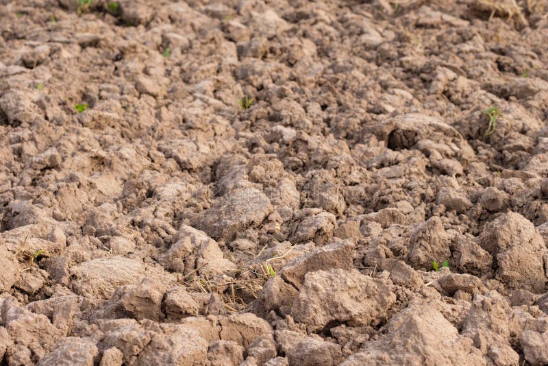 Tierra arable foto de archivo. Imagen de tierra, macro - 176777530