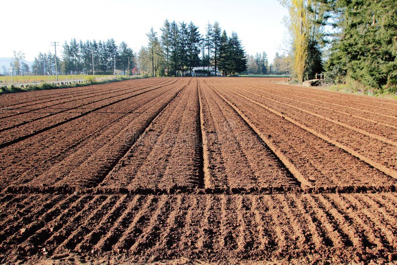 Tierra De Cultivo Preparada Foto de archivo - Imagen de acreencia ...