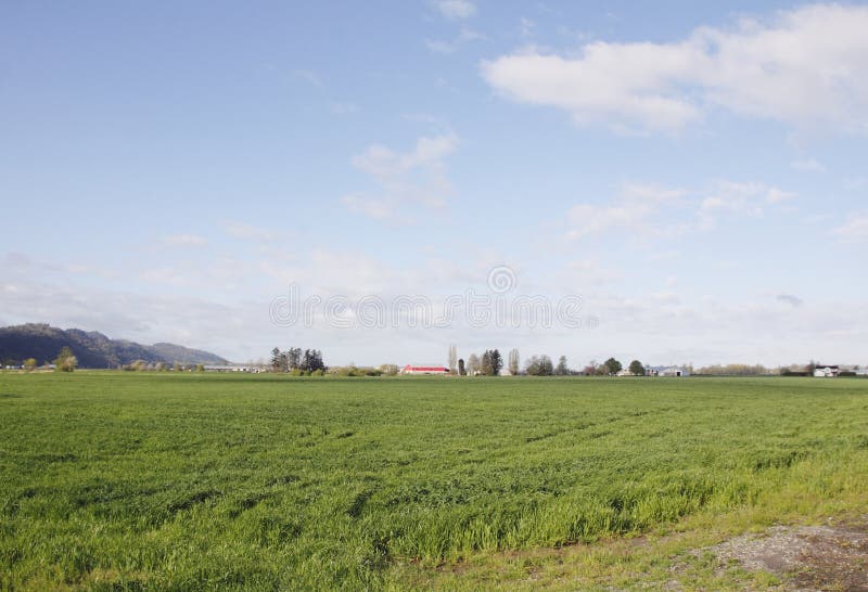 Tierra de pasto canadiense foto de archivo. Imagen de pista - 39906614