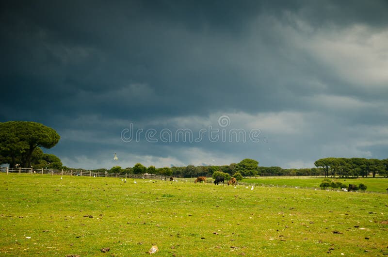 Tierra de pasto verde imagen de archivo. Imagen de pista - 69869169