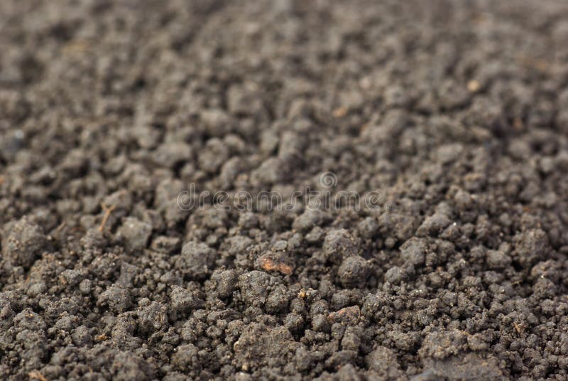 Tierra (humus del molde) foto de archivo. Imagen de textura - 25015932