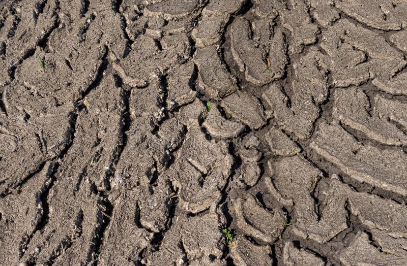 Tierra Negra Agrietada Seca Foto de archivo - Imagen de negro, fangoso ...