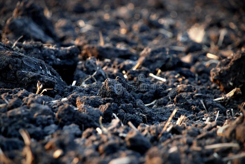 Tierra Negra En El Campo Imagen. Imagen: 9294801