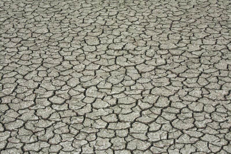 Tierra Que Se Agrieta De La Tierra Seca De La Sequía Imagen de archivo ...