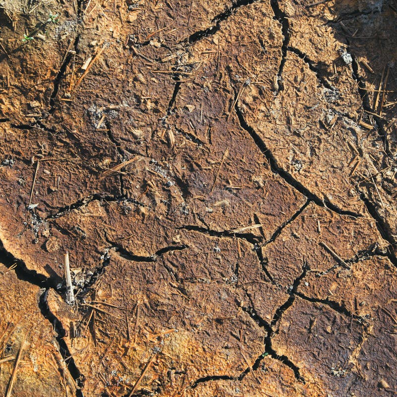 Tierra Roja Seca Con Las Grietas Imagen de archivo - Imagen de pista ...