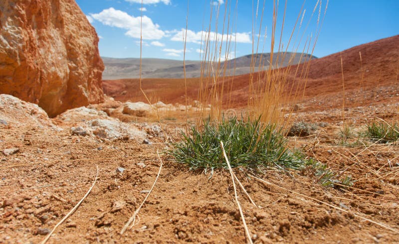 Tierra roja y cielo azul foto de archivo. Imagen de travieso - 110592990