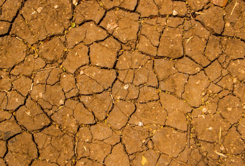 Textura De Tierra Seca Con La Planta Verde. Imagen de archivo - Imagen ...