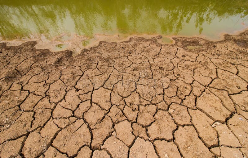 Textura De Tierra Seca Con La Planta Verde. Imagen de archivo - Imagen ...