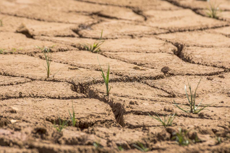 Tierra Seca Agrietada En La Presa En El Brasil Imagen de archivo ...