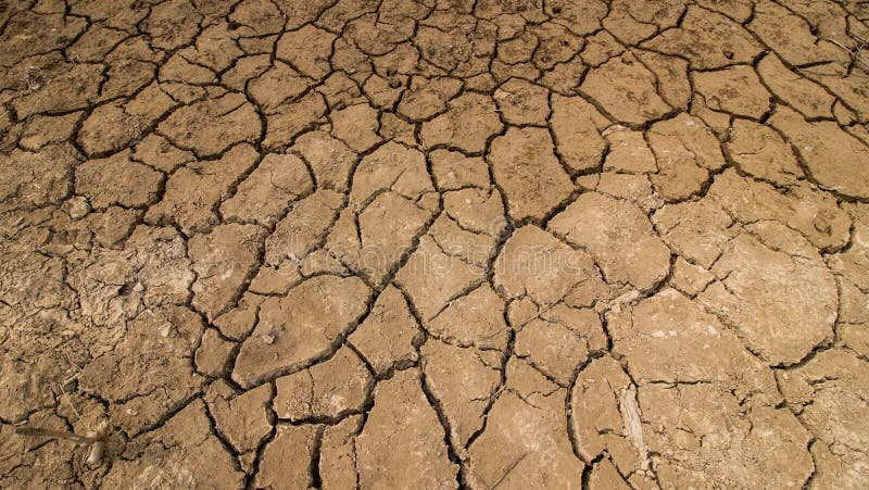 Textura De Tierra Seca Con La Planta Verde. Imagen de archivo - Imagen ...