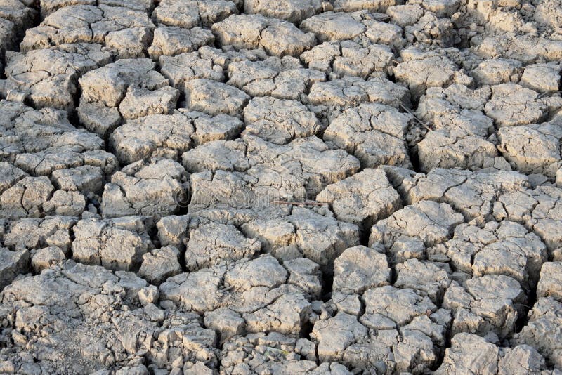 Tierra Rajada Y Tierra Quebrada. Textura De La Tierra De Secar Y Gruesa ...