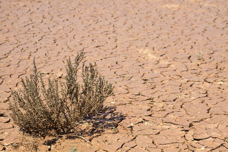 Tierra sin vida foto de archivo. Imagen de waterless - 30535408