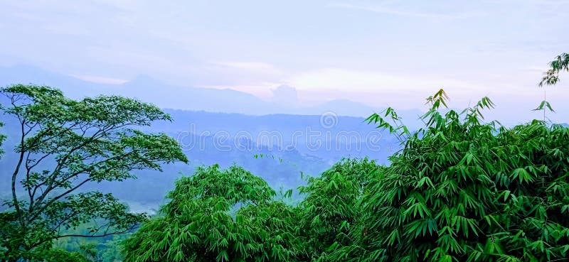 Tierra Verde En La Selva De Asia Imagen de archivo - Imagen de asia ...