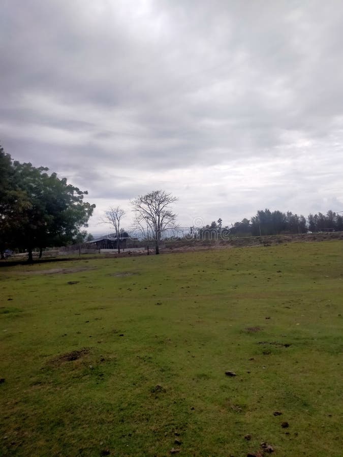 Una tierra de pasto imagen de archivo. Imagen de pista - 219400637