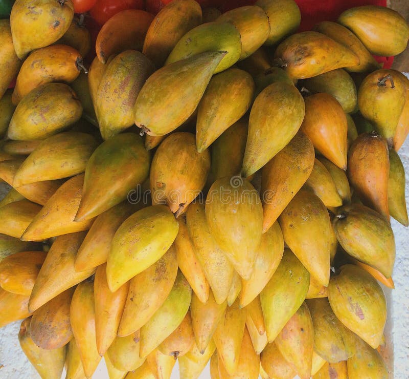 Tiesa, eggfruit, Canistel stock afbeelding. Image of thailand - 57174781