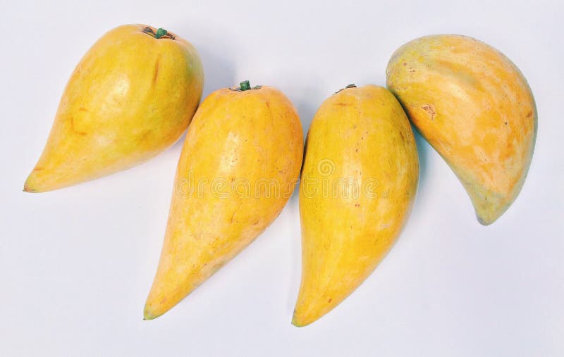 Tiesa, eggfruit, Canistel stock photo. Image of eggfruit - 57095998