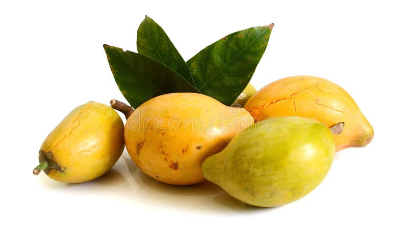 146 Tiesa Fruit Stock Photos - Free & Royalty-Free Stock Photos from ...