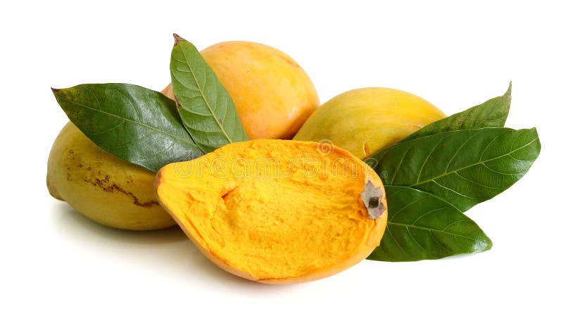 147 Tiesa Fruit Stock Photos - Free & Royalty-Free Stock Photos from Dreamstime