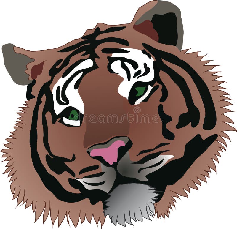 Tiger Head Front View Stock Illustrations – 148 Tiger Head Front View ...