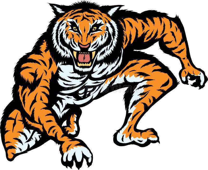 Tiger Attack stock illustration. Illustration of fangs - 10762226