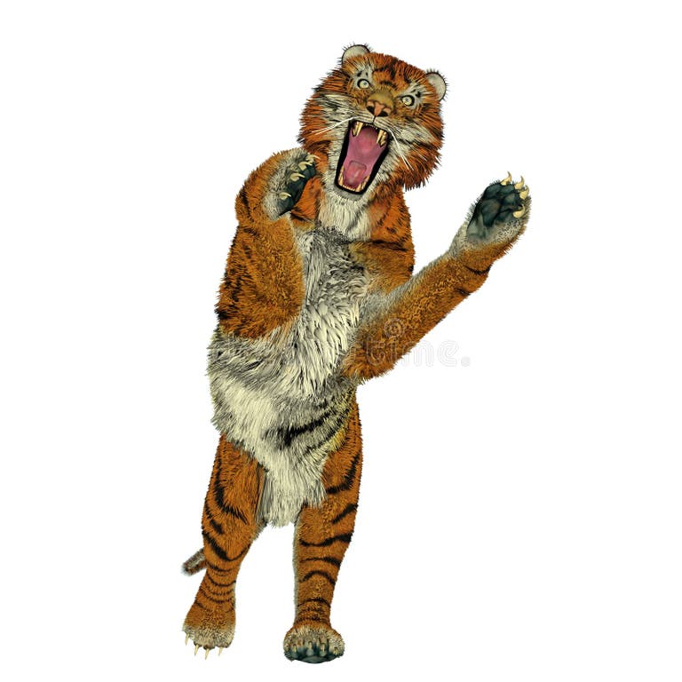 Attacking Tiger Stock Illustrations – 178 Attacking Tiger Stock ...