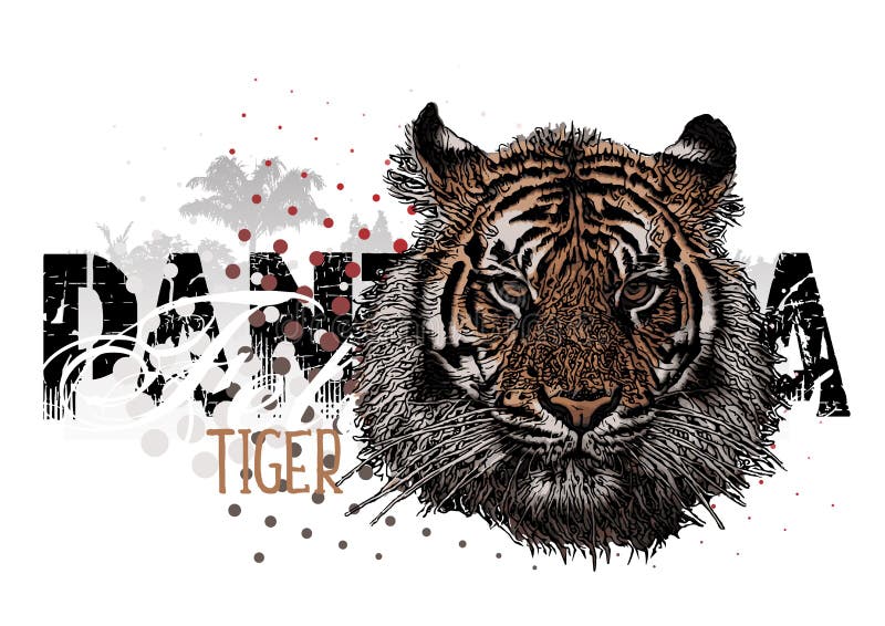 Tiger Banner Vector Illustration Stock Vector - Illustration of vector ...