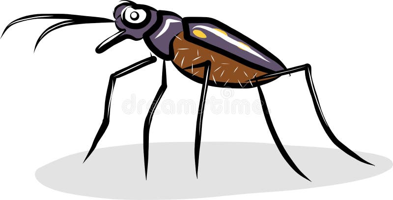 Tiger beetle stock illustration. Illustration of legs - 33740901