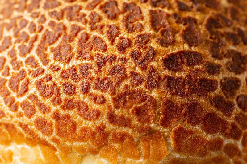 Tiger Bread Roll stock photo. Image of loaf, food, bread - 206809482