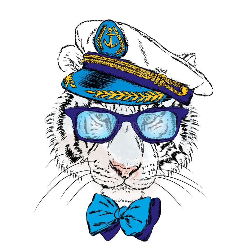 Tiger in the Captain`s Cap. Stock Vector - Illustration of tiger, sale ...