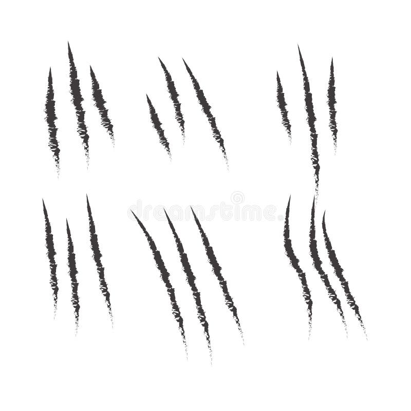 Tiger and Cat Scratch Mark Vector. Stock Vector - Illustration of ...