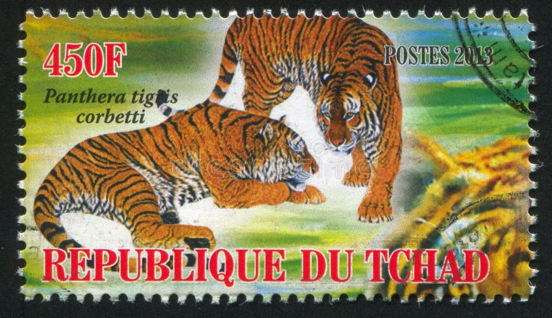 Tiger editorial photography. Image of aged, philately - 314444662