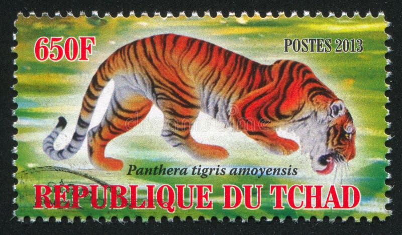 Tiger editorial image. Image of feline, antique, postmark - 314444680